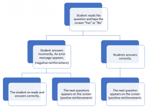 Immediate Reinforcement Diagram – ACCOMPLISH READING®